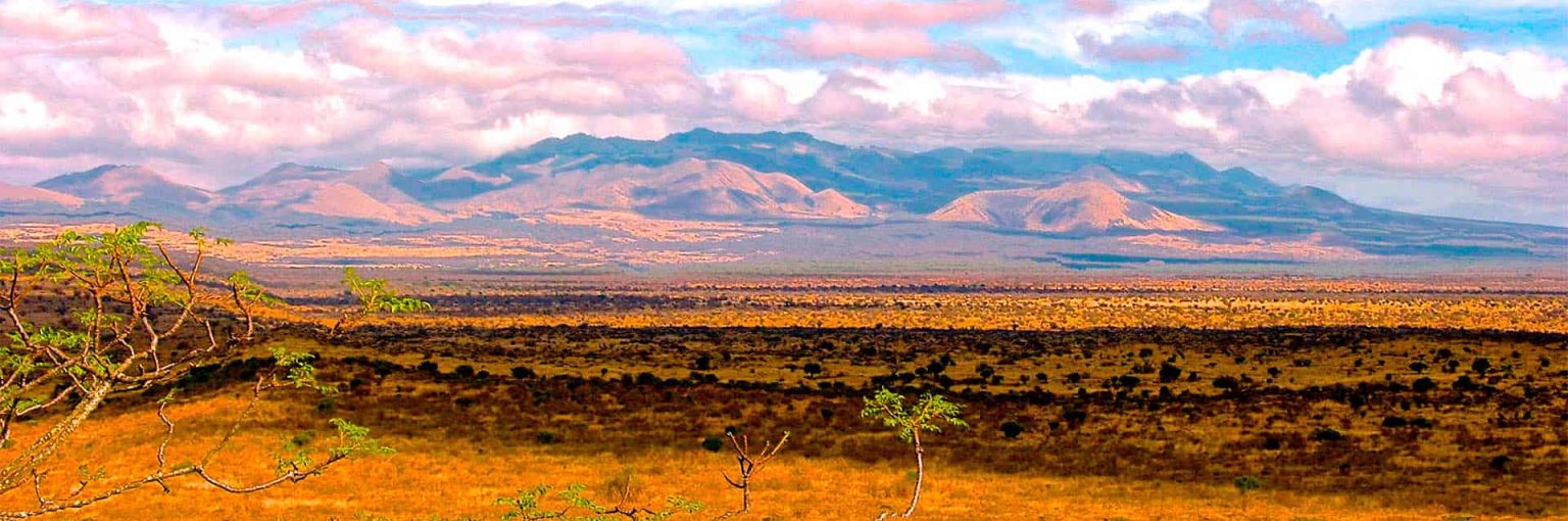 Tsavo Est national parc 13750 km2 à 4 heures de Diani Beach